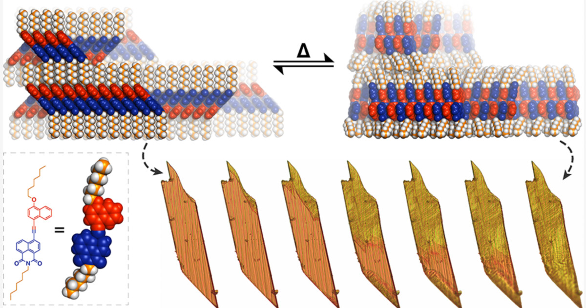 RESEARCH – IVERSON LAB