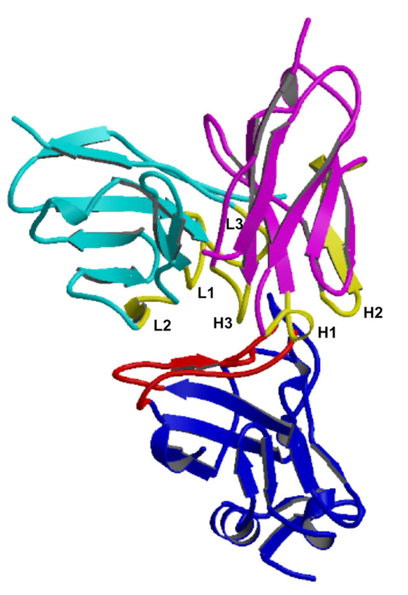 RESEARCH – IVERSON LAB